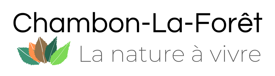 Chambon-la-Forêt (Loiret) | Site officiel